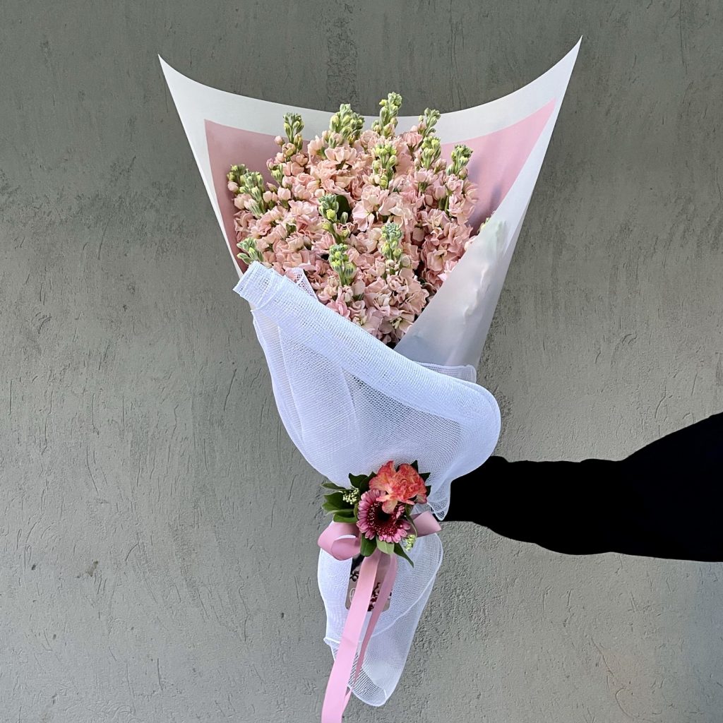 Wild Pollon - Pollon Flowers - Melbourne