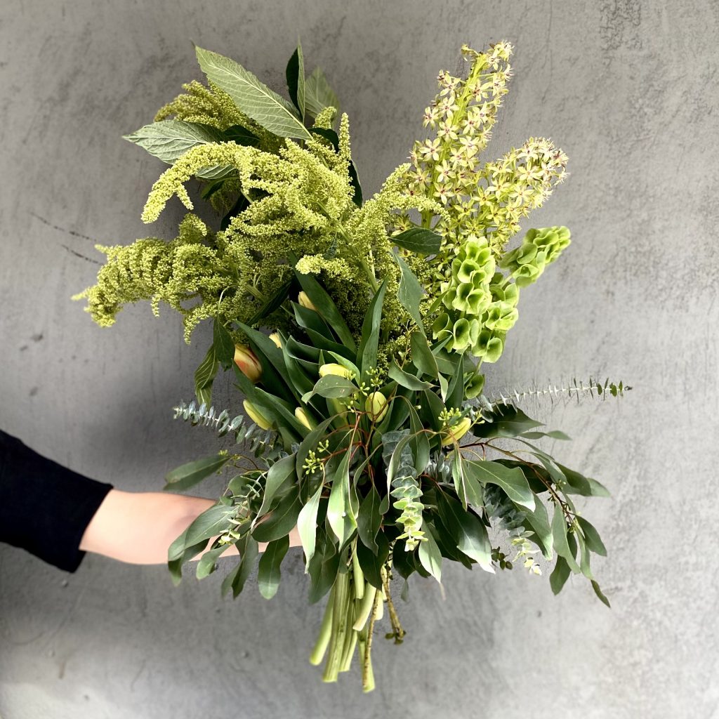 Green Queen - Pollon Flowers - Melbourne