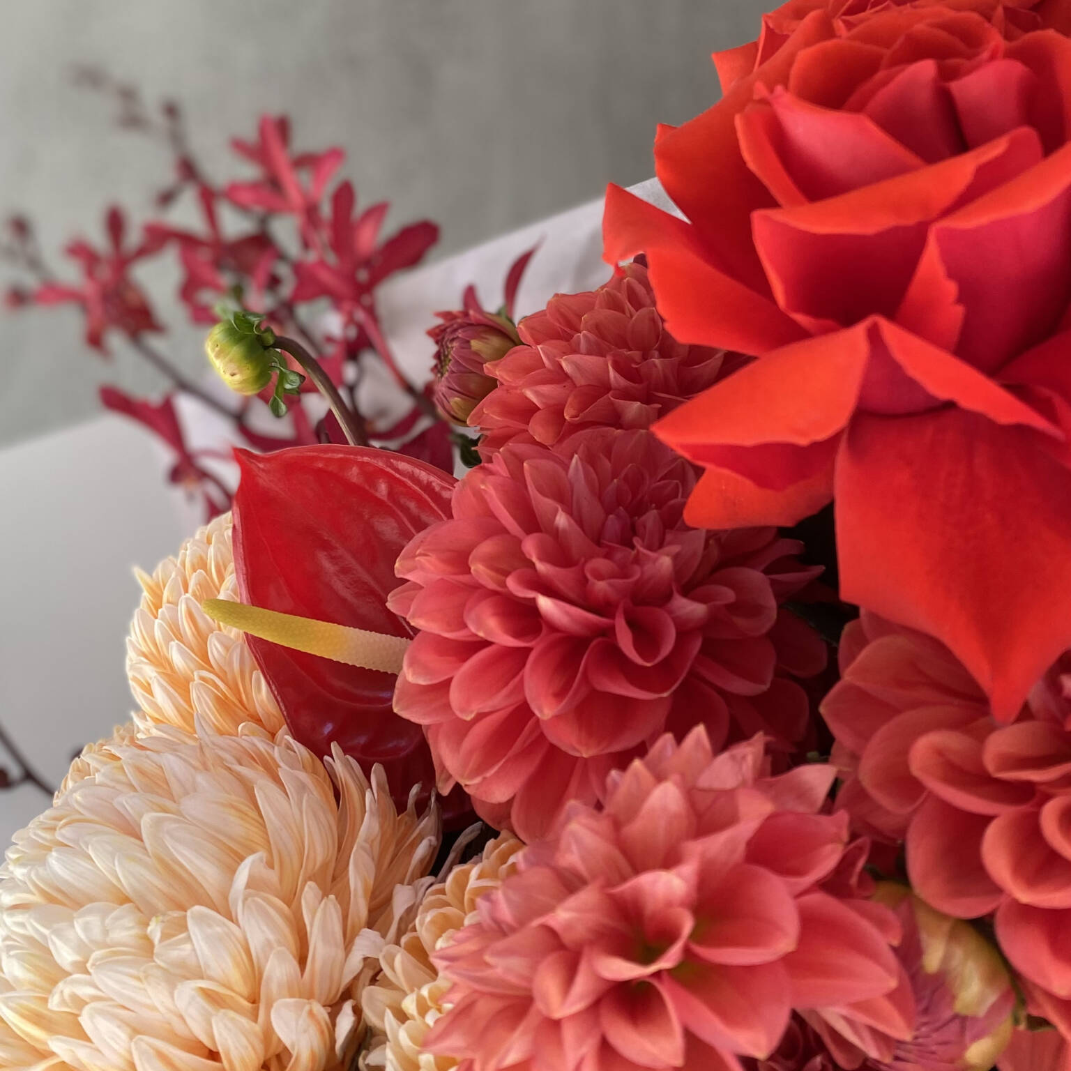 Ruby Pollon - Pollon Flowers - Melbourne