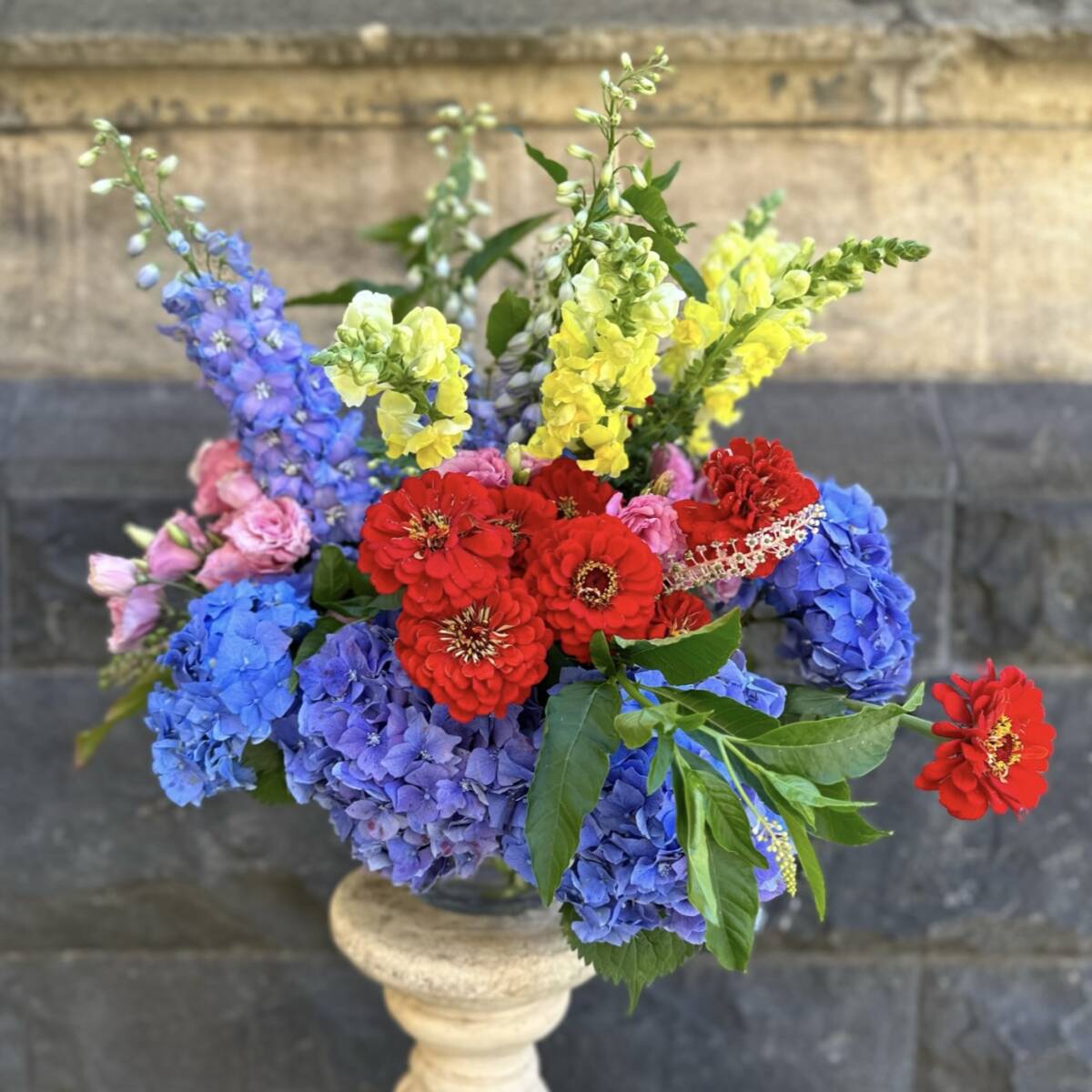 Fierce Pollon - Pollon Flowers - Melbourne