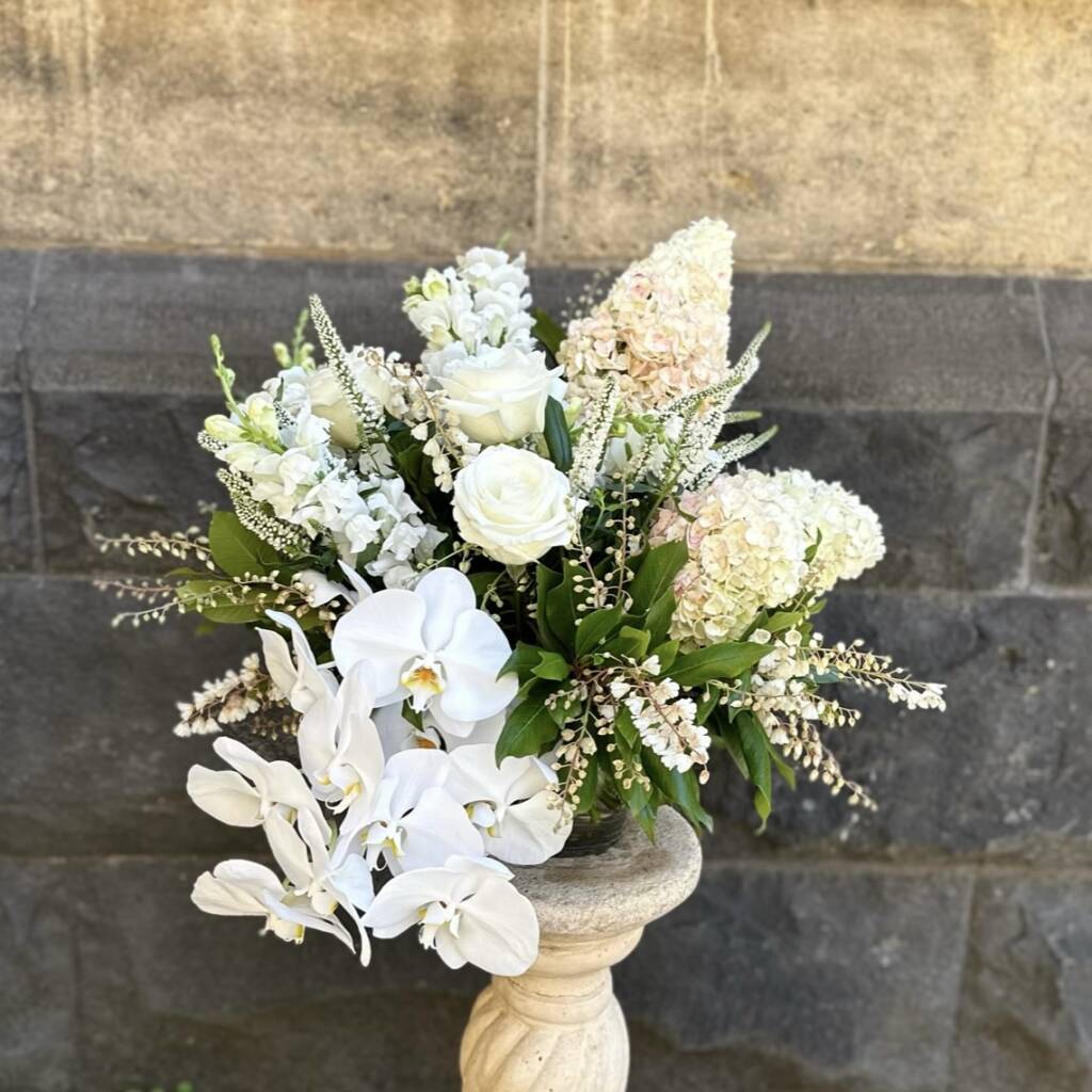 Classic Pollon - Pollon Flowers - Melbourne