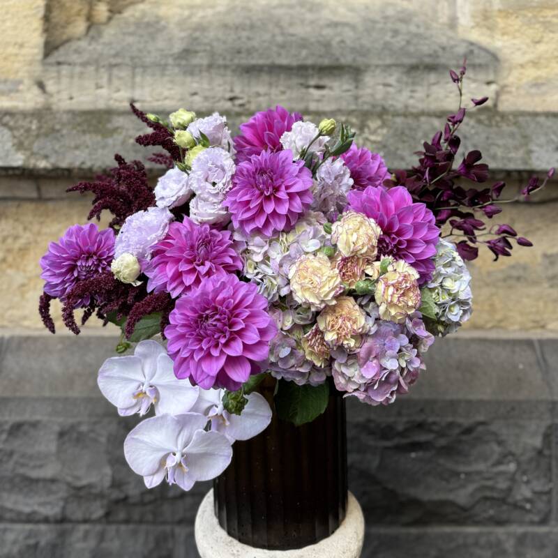 Plum Pollon - Pollon Flowers - Melbourne