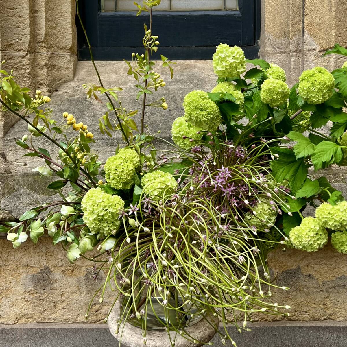 Green Queen - Pollon Flowers - Melbourne